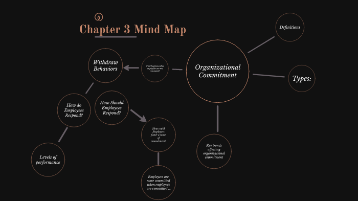 Chapter 3 Mind Map by Alexia Lewis on Prezi