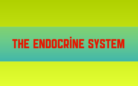 The Endocrine System by Devanshi Tank on Prezi