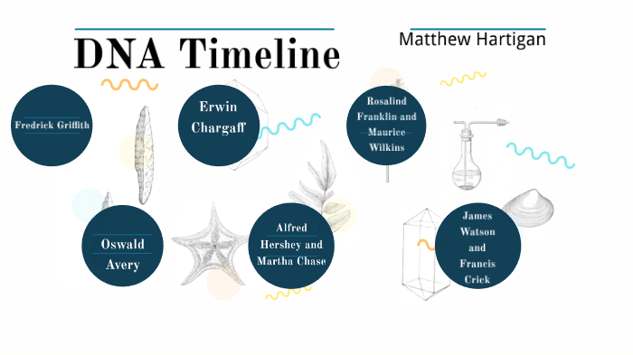 DNA Timeline by Matthew Hartigan on Prezi