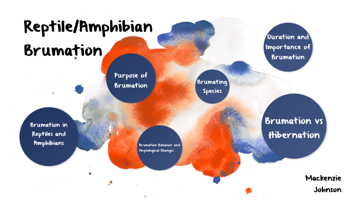 Brumation in Reptiles/Amphibians by Mackenzie Johnson on Prezi