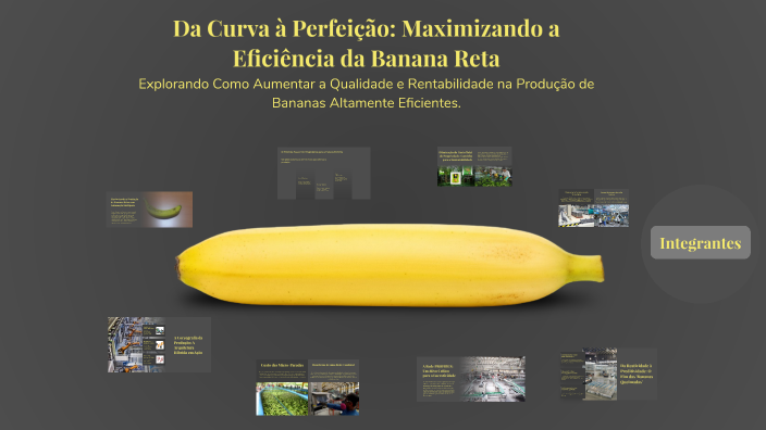 Da Curva à Perfeição: Maximizando a Eficiência da Banana Reta by ...