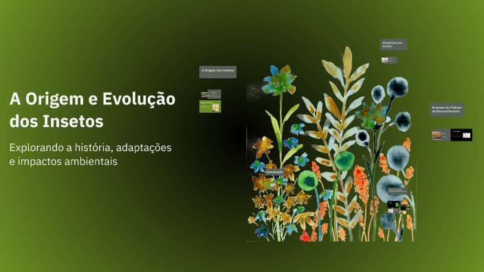 A Origem e Evolução dos Insetos by Lucca de Freitas on Prezi