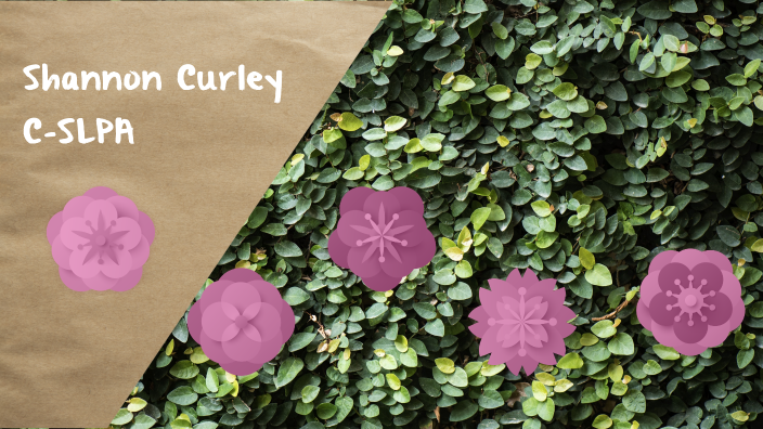 Shannon by Shannon Curley on Prezi