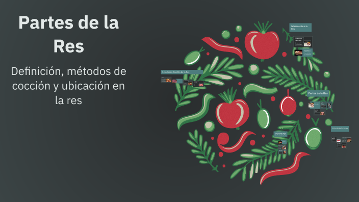 Partes de la Res by Marcos Emanuel Barrientos Castellans on Prezi