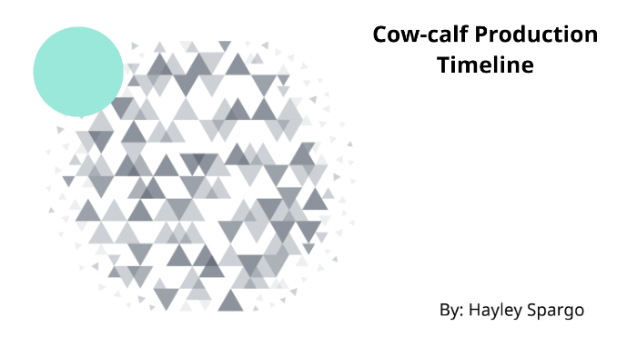 Cow-Calf Production Timeline by Hayley Spargo on Prezi