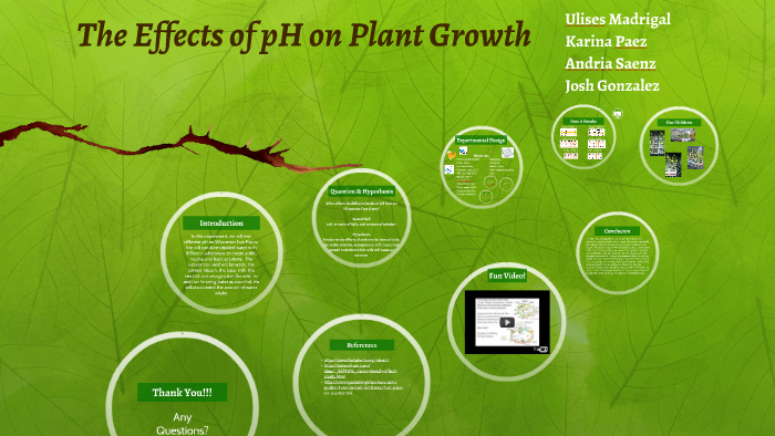 The Effects of pH on Plant Growth by Karina Paez