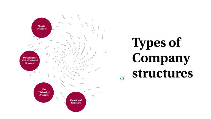 Types of company structures by Info Ecostar on Prezi
