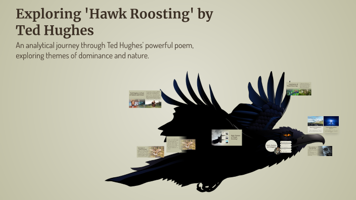 Exploring 'Hawk Roosting' by Ted Hughes by David Rhenius I on Prezi