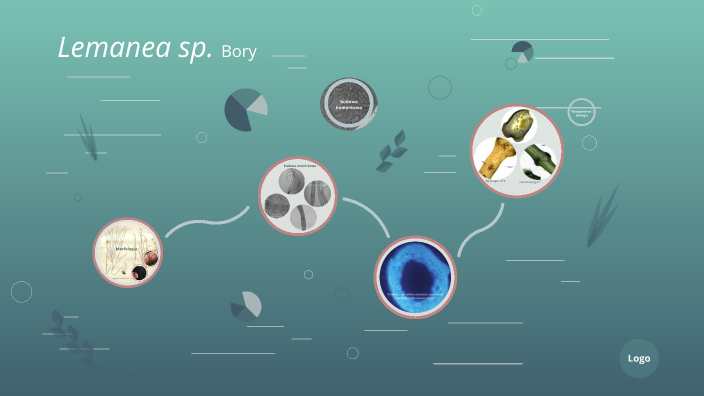 Lemanea by Kamil Kwiatkowski on Prezi