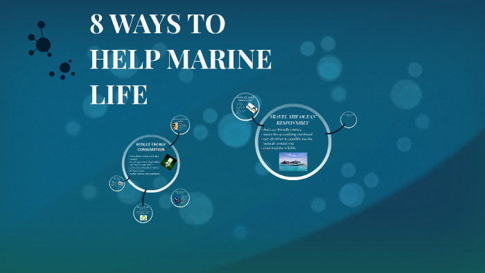 8 Ways to Help Marine Life by Jillian Denue on Prezi
