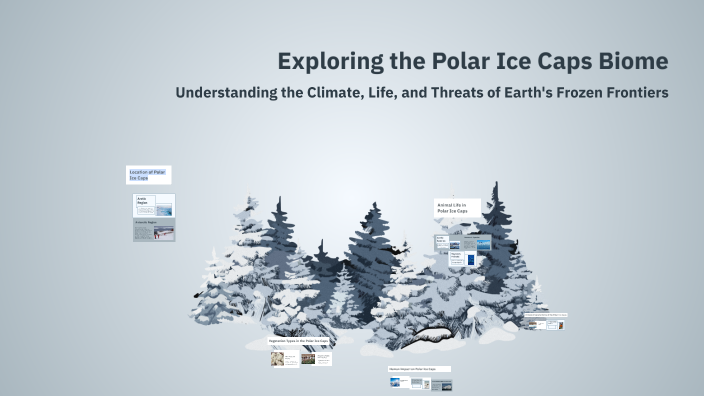 Exploring the Polar Ice Caps Biome by Katie E on Prezi