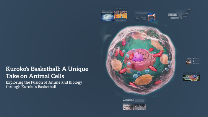 Kuroko's Basketball: A Unique Take on Animal Cells by Alejandro Paz ...