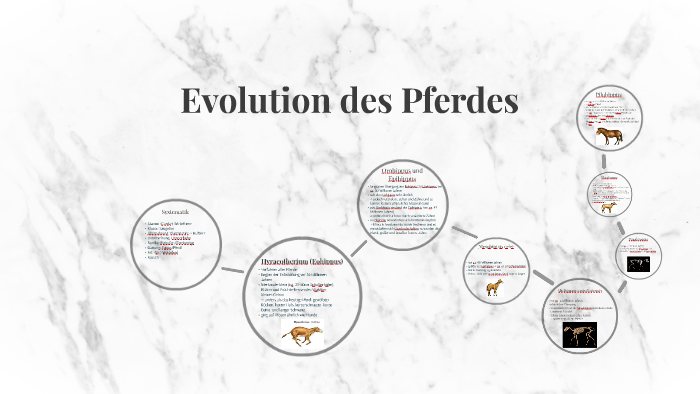 Evolution des Pferdes by Erva Karahan on Prezi