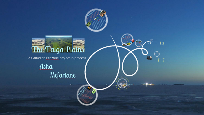 The taiga plains by asha mcfarlane on Prezi