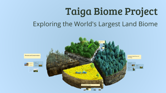 Taiga Biome Project by Kylie Aaron on Prezi