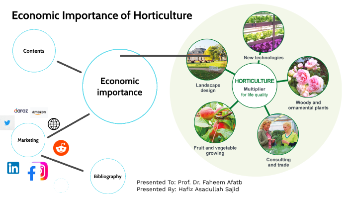 Economic Importance of horticulture by HAFIZ ASADULLAH SAJID on Prezi