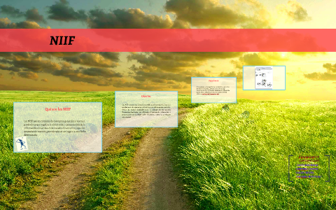 Las NIF son un conjunto de conceptos generales y normas part by Cinthia ...