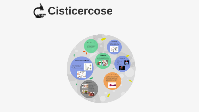 Cisticercose by Amanda Fujino on Prezi