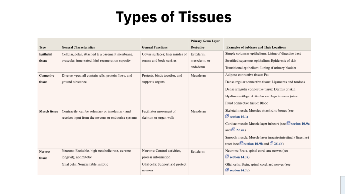 Most diverse and abundant tissue • Main classes – CT proper ...
