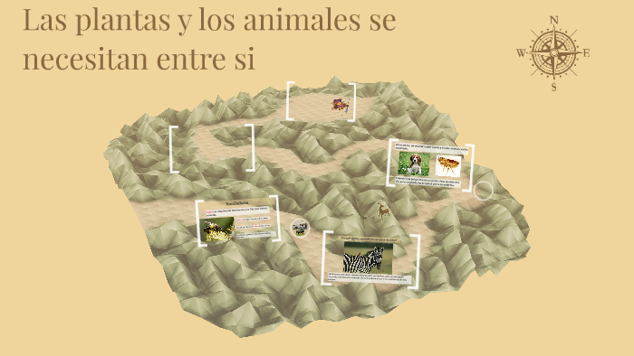 Las plantas y los animales de necesitan entre si by Teresa Contreras on ...
