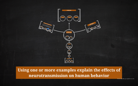 Using one or more examples explain the effects of neurotrans by ...