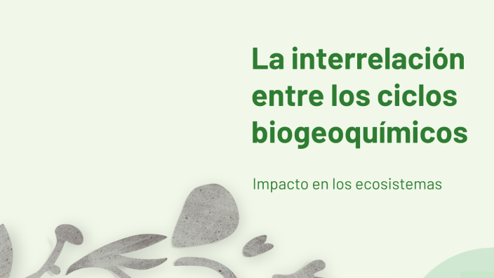 La interrelación entre los ciclos biogeoquímicos by violeta paez on Prezi