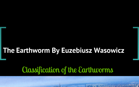 Classification of the Earthworm by Euzebiusz Wasowicz on Prezi