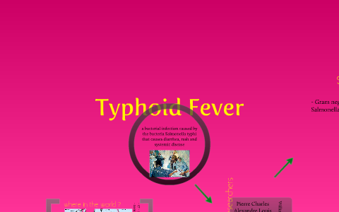 Typhoid fever by Autumn Stubbs on Prezi