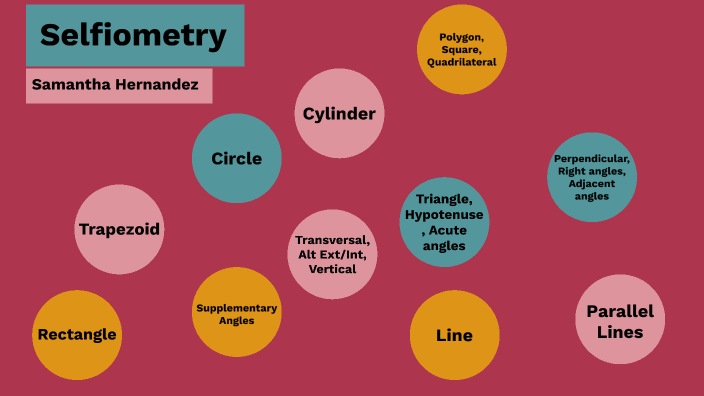Selfieometry by Samantha Hernandez on Prezi