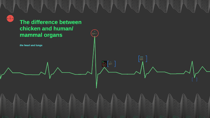 The difference between chicken and human/mammal organs by Emma Fehr on ...