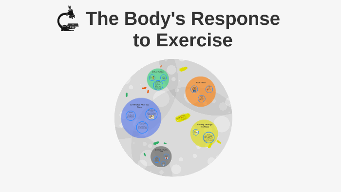 The Body's Response to Exercise by Leslie Dorantes on Prezi
