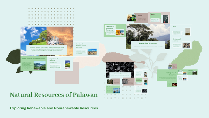 Natural Resources of Palawan by Feluche Dalaoyan on Prezi