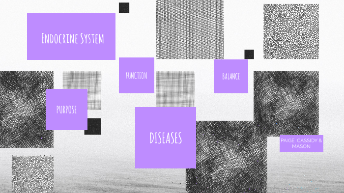 Endocrine System by Cassidy Pollock on Prezi