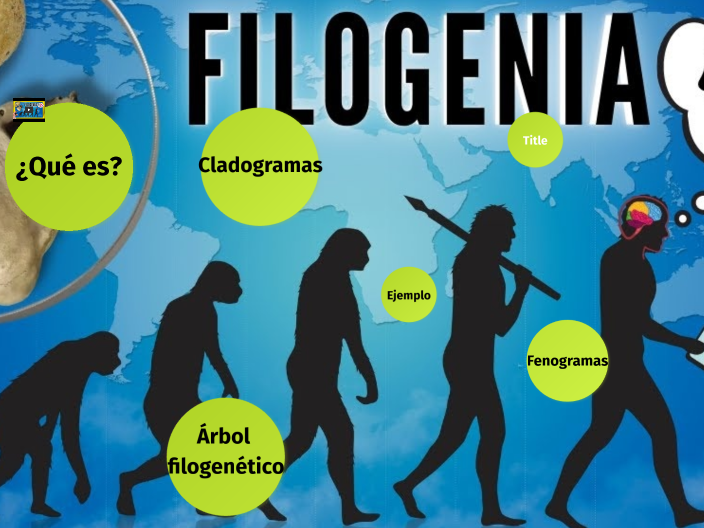 Filogenia y la clasificación by Jessie Navarro on Prezi