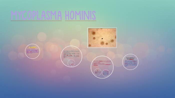 MYCOPLASMA HOMINIS by Cristina Ruiz on Prezi