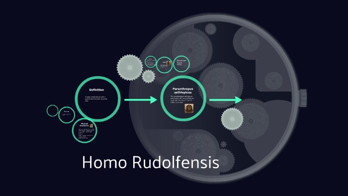 Homo Rudolfensis by Alayah Williams on Prezi
