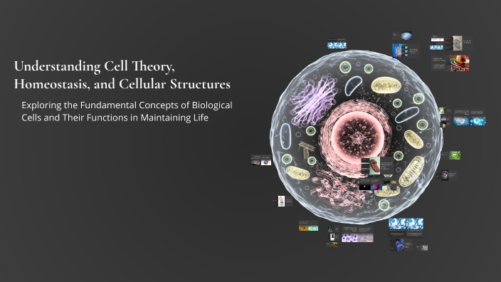 Understanding Cell Theory, Homeostasis, and Cellular Structures by ...