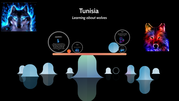 wolves by tunisia kawakawa on Prezi
