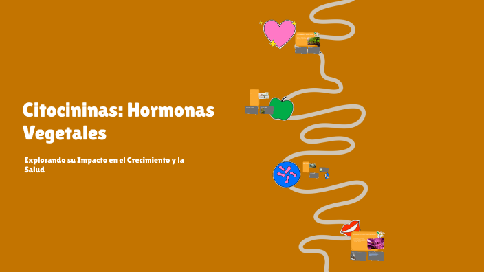 Citocininas: Hormonas Vegetales Vitalizantes by yunuen dominguez on Prezi