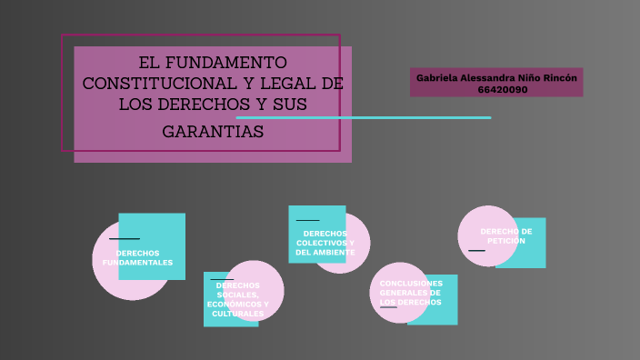 el fundamento constitucional y legal de los derechos y sus garantías by ...