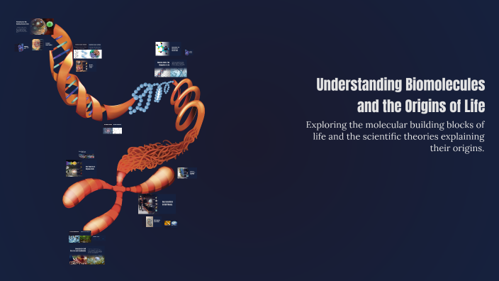 Understanding Biomolecules and the Origins of Life by Santiago ...