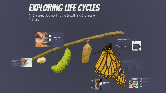 Exploring Life Cycles by ellie morgan on Prezi
