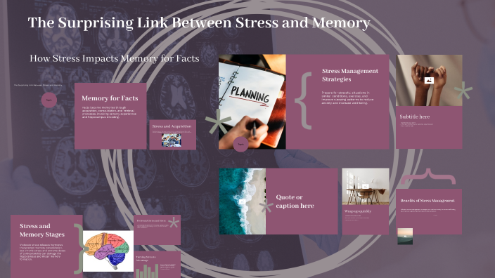 The Surprising Link Between Stress and Memory by ELDA EK on Prezi
