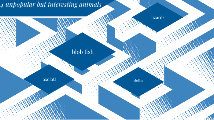 4 unpopular animals but interesting animals by cade routh on Prezi