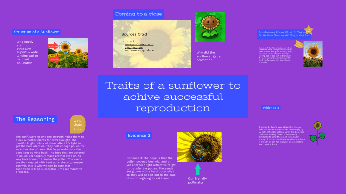 Traits of a sunflower to achive successful reproduction by Wesley ...