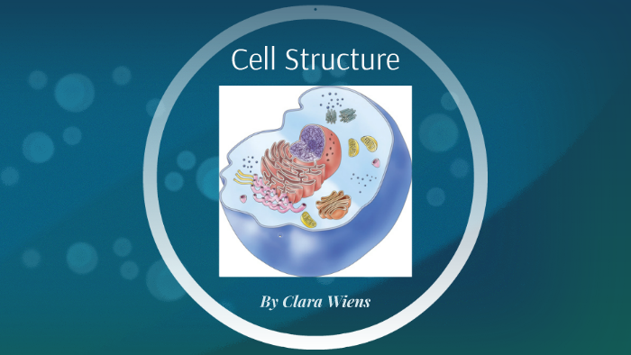 Cell Structure by Clara Wiens on Prezi