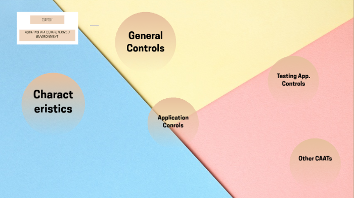 Chapter 7-Auditing in a Computerized Environment (Summary) by Cris Tiu on Prezi