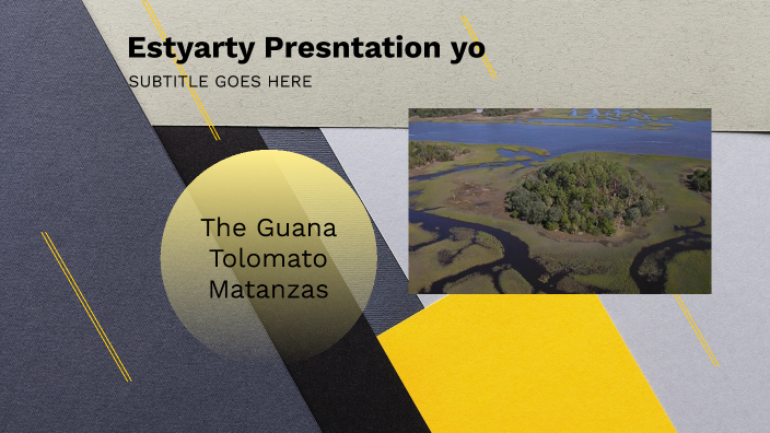Estuary Project by JUAN VALDEZ on Prezi