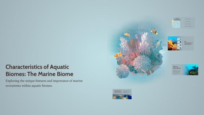 Characteristics of Aquatic Biomes: The Marine Biome by Cristina Ceban ...