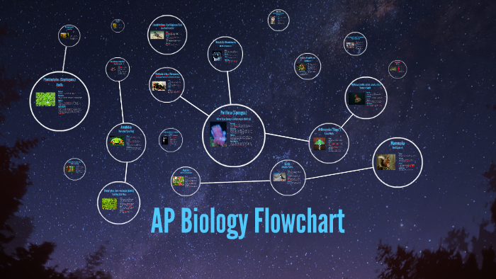 AP Biology Flowchart by ben ulibarri on Prezi